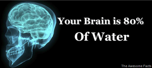 Your brain is 80% of water ~ The Awesome Facts